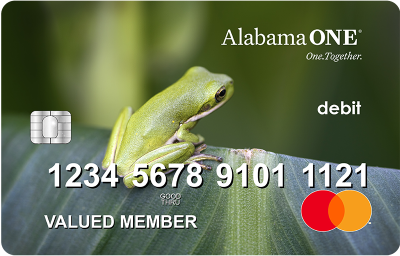 Choose Your Debit Card